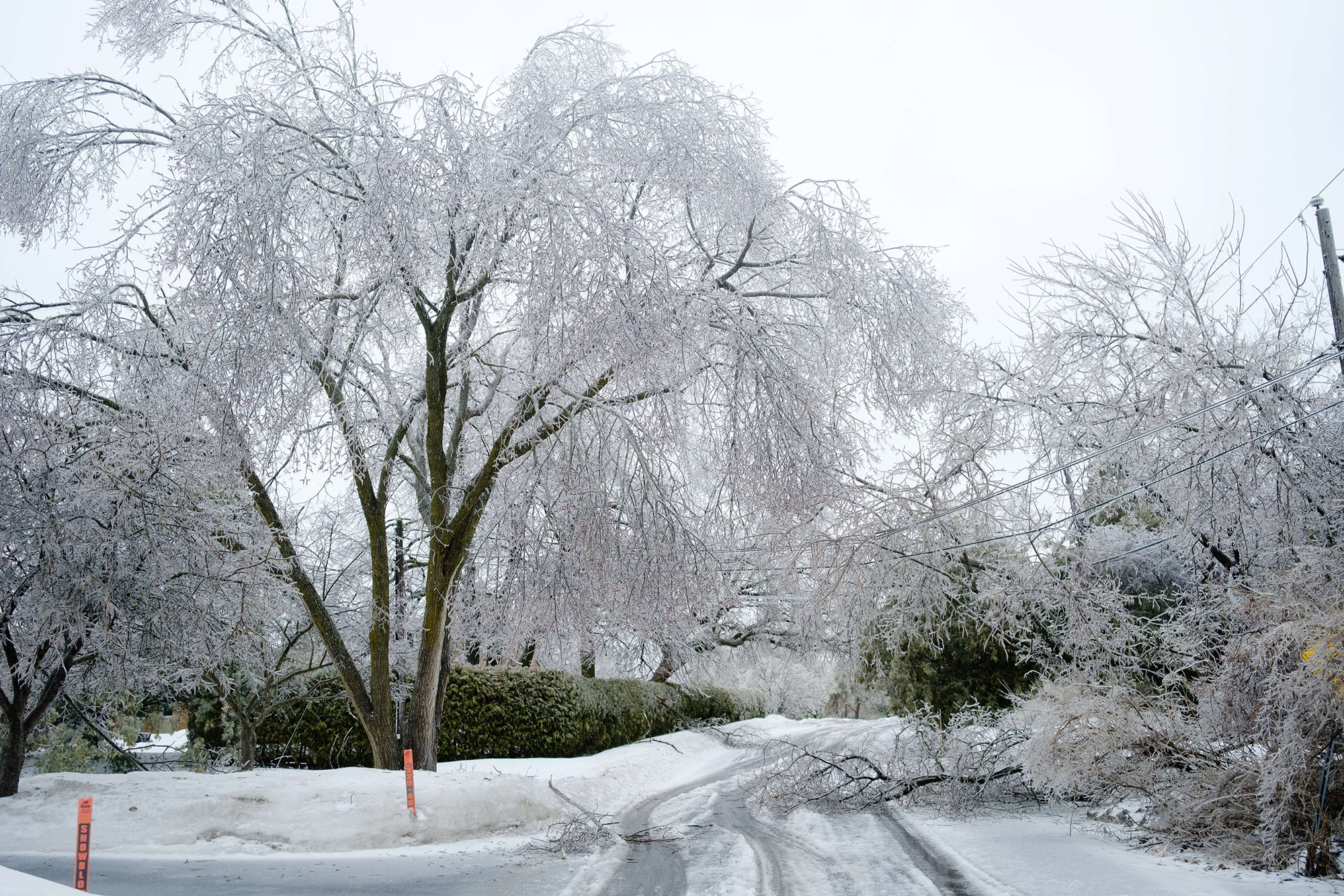Significant Weather Event – Kanata North