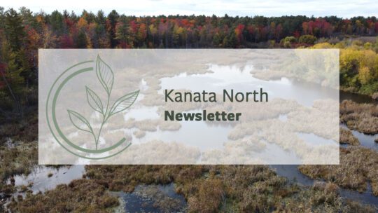 Kanata North Ward 4